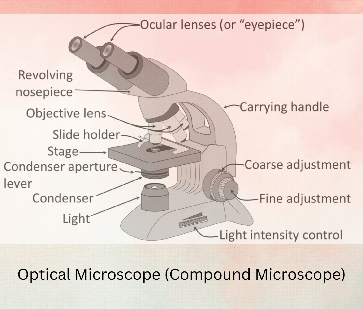 The Marvelous Journey of Discovery: Invention of the Microscope ...