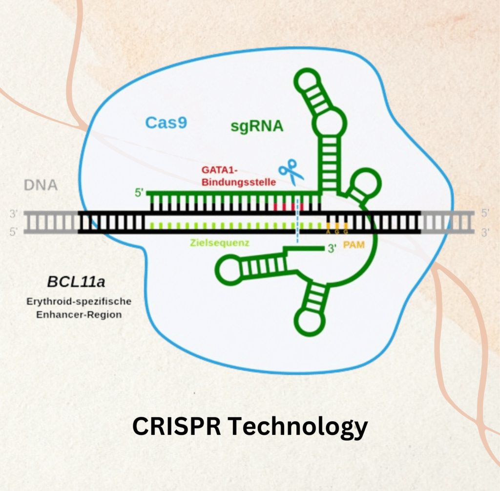 The Future of Gene Editing: Exploring CRISPR Technology