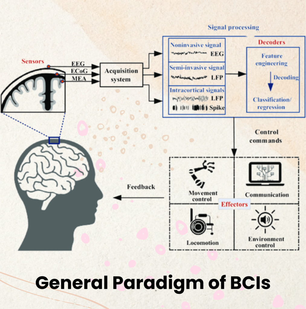 Unlocking the Future: Exploring Brain-Computer Interface Applications