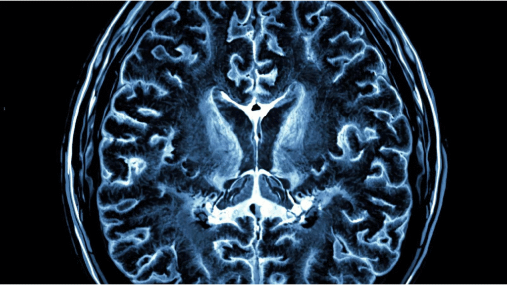 Human Connectome 2.0: Mapping Synapses with New Tech